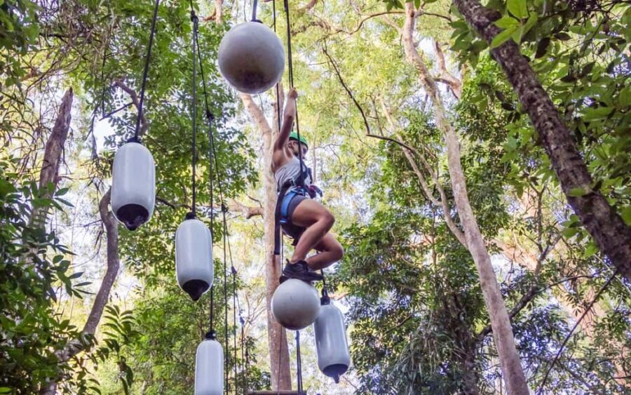 Sunshine Coast: Treetop Challenge Adventure Park - What Makes This Tour Stand Out?