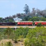 Sunshine Coast: VIP Booth Shared Mary Valley Rattler - The Itinerary: A Day Through Queensland’s Heartland