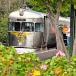 Sunshine Coast:Silver Bullet High Tea at Mary Valley Rattler - How Does It Value?