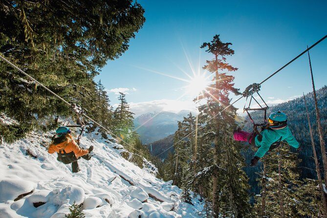 Superfly Ziplines on Cougar Mountain - includes 4 ziplines! - The Experience in Detail