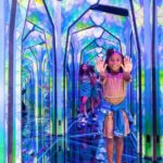 Surfers Paradise: Ripley's Believe It or Not! 3 Way Combo - Practical Details and What to Expect