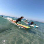 Surfing on the north of the bay - The Experience Itinerary: Breaking It Down
