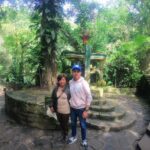 Surrealist Garden Tour in Xilitla and Sotano de las Huahuas - Who Will Enjoy This Tour?