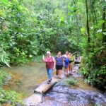 Suva Customized tour- Private - What’s Included and What to Expect