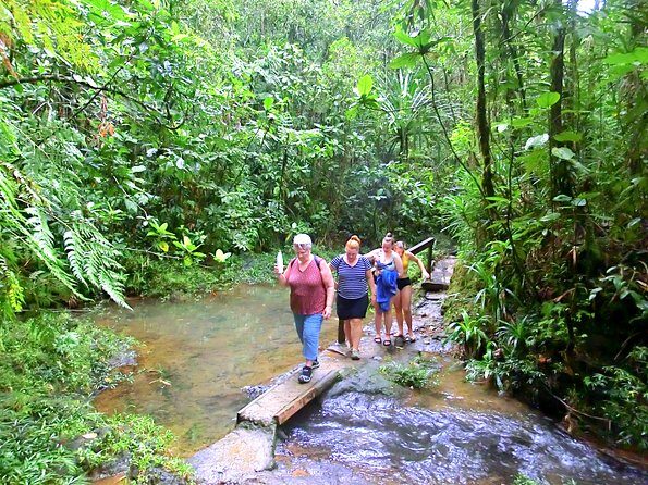 Suva Customized tour- Private - What’s Included and What to Expect
