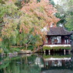 Suzhou:Humble Administrator's Garden Ticket for Adult - An In-Depth Look at the Humble Administrator’s Garden