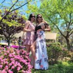 Swan Valley Boutique Wine Tour - Authentic Experiences and What Travelers Might Expect
