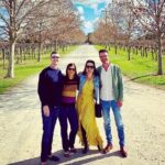 Swan Valley Half Day Wine Tour from Perth - The Value of This Tour