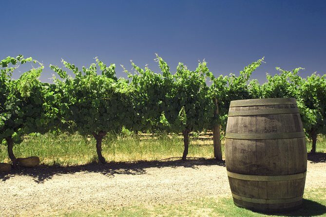 Swan Valley Private Tour - Navigating the Itinerary and Its Value