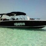 Swim with Whale Sharks Private tour from Playa del Carmen - The Itinerary in Detail