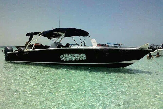 Swim with Whale Sharks Private tour from Playa del Carmen - The Itinerary in Detail