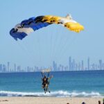 Swim with Whales in Gold Coast - Practical Tips for Future Swimmers