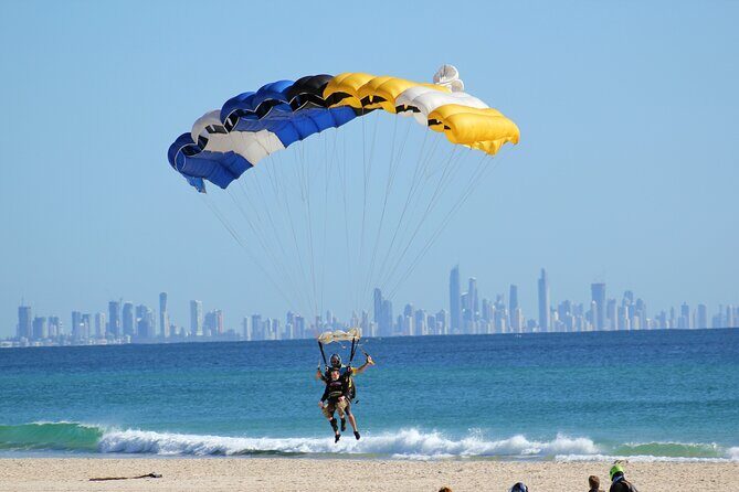 Swim with Whales in Gold Coast - Practical Tips for Future Swimmers