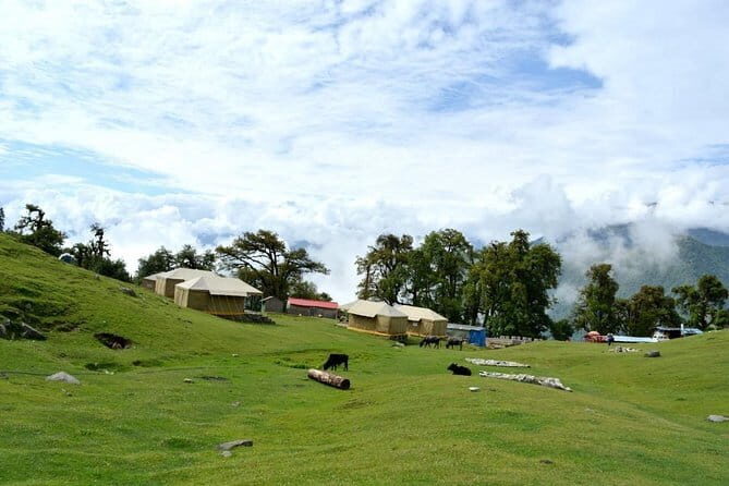 Swiss tent camping in Chopta (1n2d) - The Value Proposition