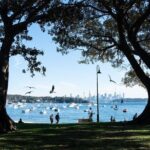 Sydney Airport Transfer with Manly & Harbour Highlights - Introduction: Why This Tour Might Be a Smart Choice