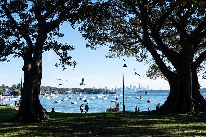 Sydney Airport Transfer with Manly & Harbour Highlights - Introduction: Why This Tour Might Be a Smart Choice