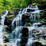Sydney Blue Mountains Full Day Tour with Return Harbour Cruise - Authentic Feedback and Authenticity of Experience