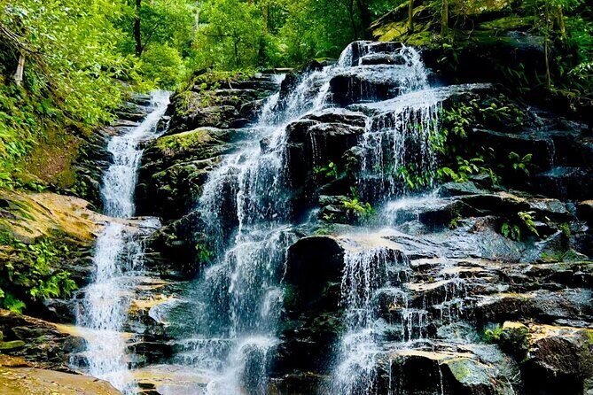 Sydney Blue Mountains Full Day Tour with Return Harbour Cruise - Authentic Feedback and Authenticity of Experience