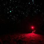 Sydney: Blue Mountains Glow Worms Wild Adventure by Night - Key Points