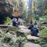 Sydney: Blue Mountains Guided Hike with Lunch & Pickup - Exploring the Details: What This Tour Offers