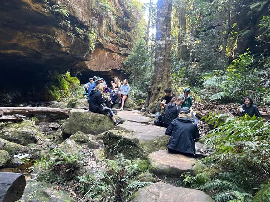 Sydney: Blue Mountains Guided Hike with Lunch & Pickup - Exploring the Details: What This Tour Offers