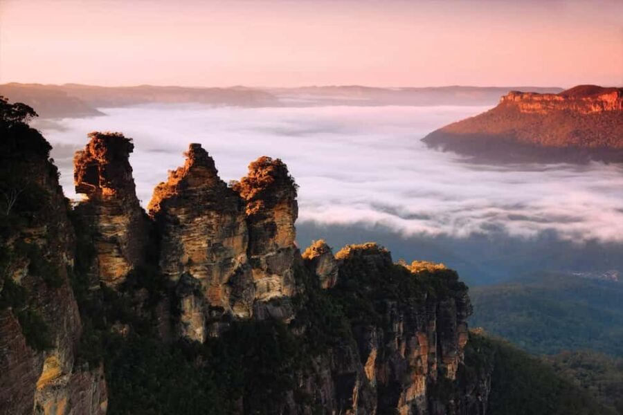 Sydney: Blue Mountains National Park Tour with River Cruise - What the Reviews Say