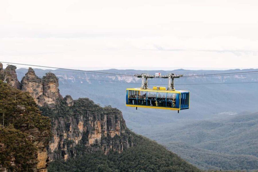 Sydney: Blue Mountains Scenic World, Wildlife Park and Lunch - What Makes This Tour Special?