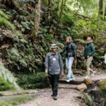 Sydney: Blue Mountains Tour with Wildlife Park & Waterfalls - Itinerary Breakdown: What You Can Expect