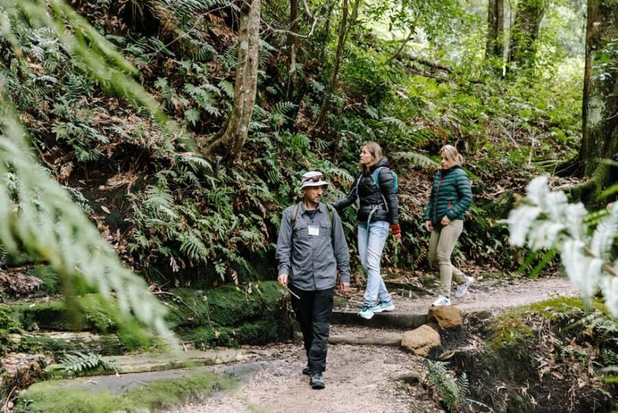 Sydney: Blue Mountains Tour with Wildlife Park & Waterfalls - Itinerary Breakdown: What You Can Expect