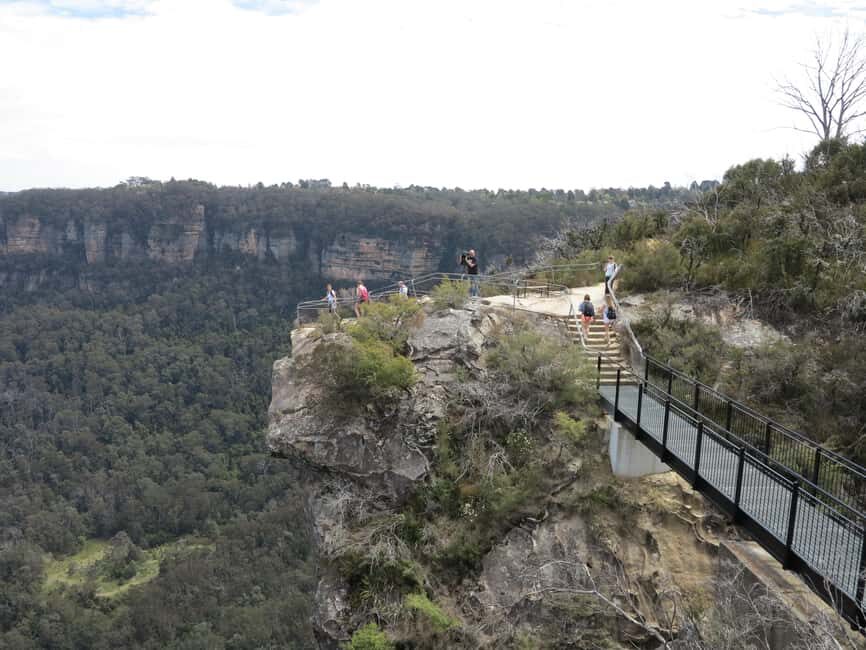Sydney: Blue Mountains Wildlife & Bushwalk Small-Group Tour - The Practical Aspect: Transport, Timing, and Group Size