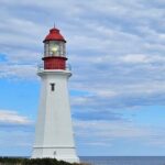 Sydney City & Coastline Tour - A Closer Look at the Itinerary