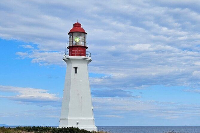 Sydney City & Coastline Tour - A Closer Look at the Itinerary