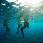 Sydney: Discover Scuba Dive at Australia's most Iconic Beach - The Itinerary in Detail