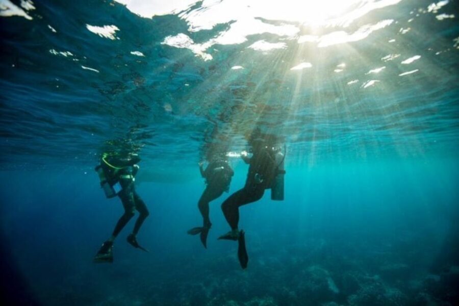 Sydney: Discover Scuba Dive at Australia's most Iconic Beach - The Itinerary in Detail