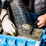 Sydney: Fish Market Food Tour - Practical Details: What You Need to Know