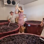 Sydney Grains and Grapes Hunter Valley Wine and Beer with Lunch - Lunch in the Heart of Hunter Valley