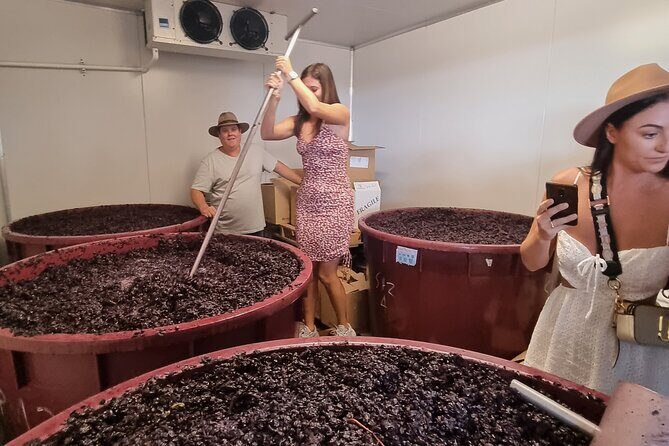 Sydney Grains and Grapes Hunter Valley Wine and Beer with Lunch - Lunch in the Heart of Hunter Valley