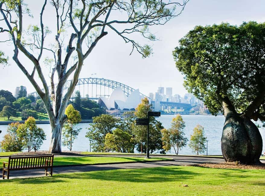 Sydney: Guided Hike with Picnic Lunch and Painting Session - What Makes This Tour Valuable?
