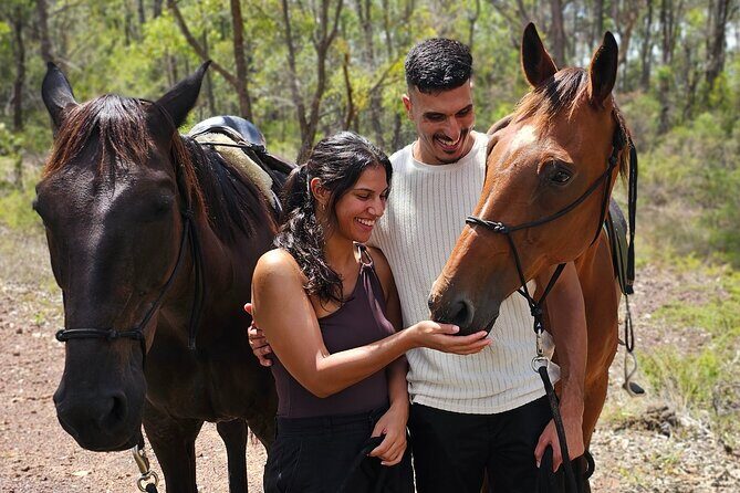 Sydney Guided Horse Ride Picnic - Who Will Love This Experience?