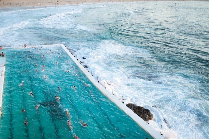 Sydney Half-Day Private Tour | Beaches, History & Icons - What the Tour Experience Means for You