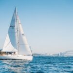Sydney Harbour Sail Like a Local Lunch Tour - The Itinerary and Highlights
