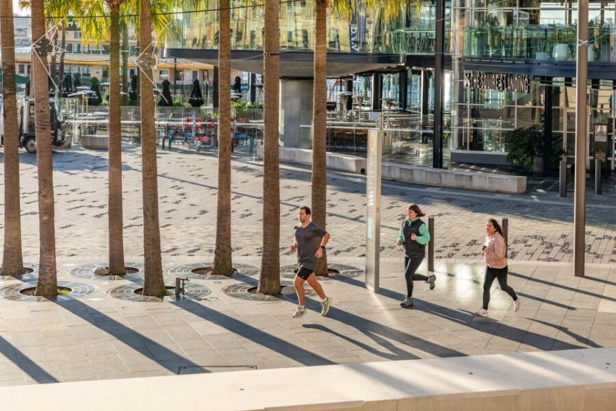 Sydney: Harbour Sights Running Tour - Practical Details and Tips