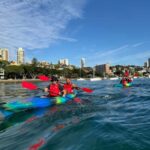 Sydney: Harbour Sunrise Kayak Tour - Who Should Consider This Tour?