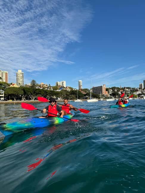 Sydney: Harbour Sunrise Kayak Tour - Who Should Consider This Tour?
