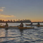Sydney Harbour Sunset Dinner Paddle - Who Would Love This Tour?