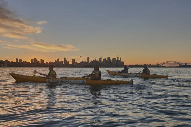 Sydney Harbour Sunset Dinner Paddle - Who Would Love This Tour?