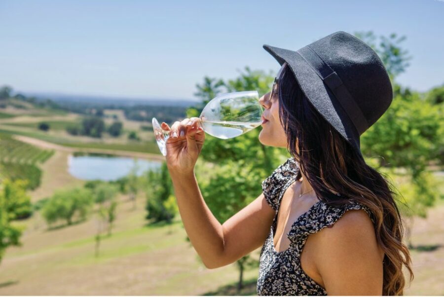 Sydney: Hunter Valley Wineries Day Trip with Food Tastings - A Detailed Breakdown of the Itinerary and Experience