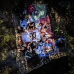 Sydney: Ku-ring-gai National Park with Hike, Beach & Picnic - Authentic Feedback and Why It Stands Out