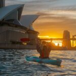 Sydney LED Lit Kayak Tour of the Opera House and Bridge - What to Expect During Your Kayak Adventure