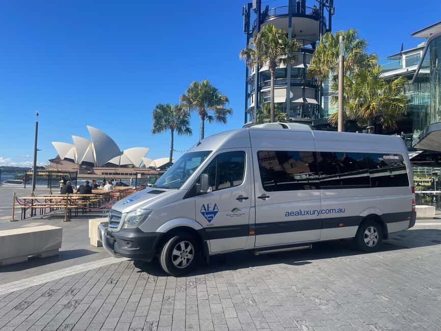 Sydney: Morning Sightseeing Bus to Bondi with Lunch Cruise - Who Should Consider This Tour?